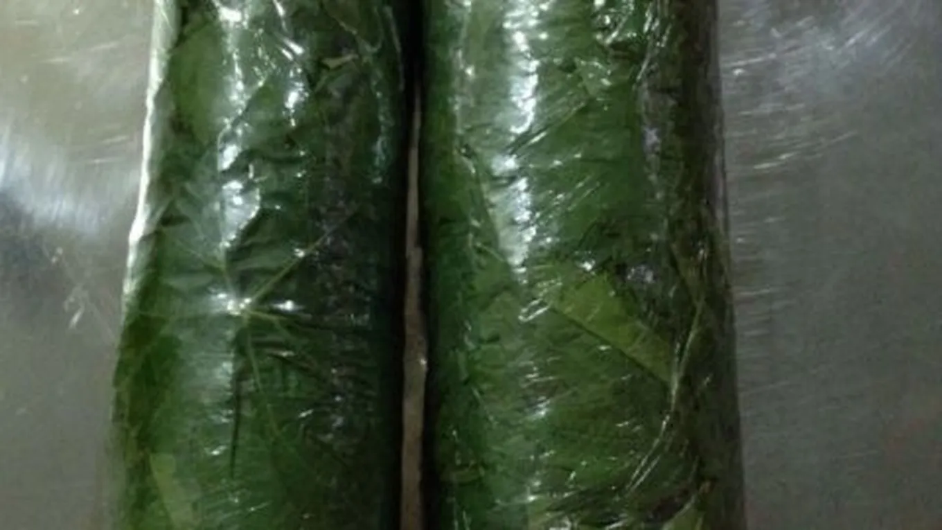 طريقة حفظ ورق العنب الطازج - طب 21 الشاملة